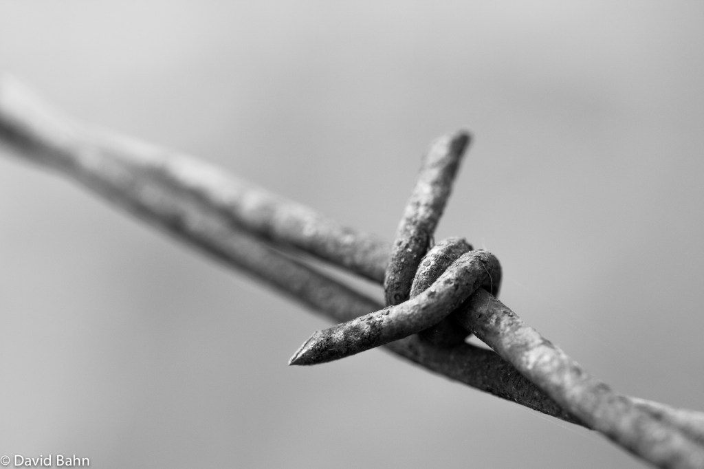 Four Entries – Two Winners – One Thankful Photographer | David Bahn ...