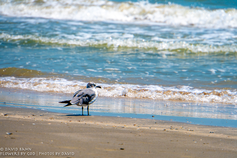 The Terror of Truth Without Grace | David Bahn - Reflections