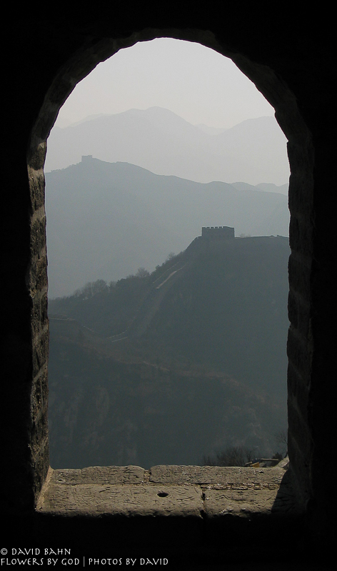 Walls and Barriers | David Bahn - Reflections