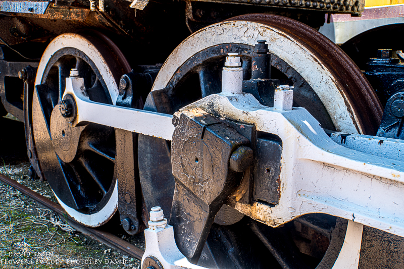 Paeans of Praise – David Bahn – Reflections