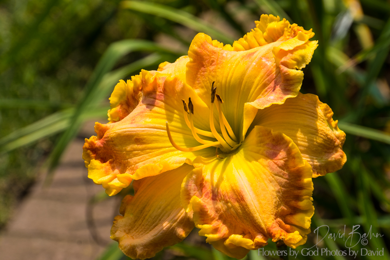 Extra Grace Required #4: Four men bring their paralyzed friend to Jesus ...