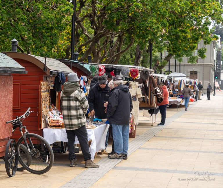 Follow the Word: The Only Tower Worth Building – David Bahn – Reflections